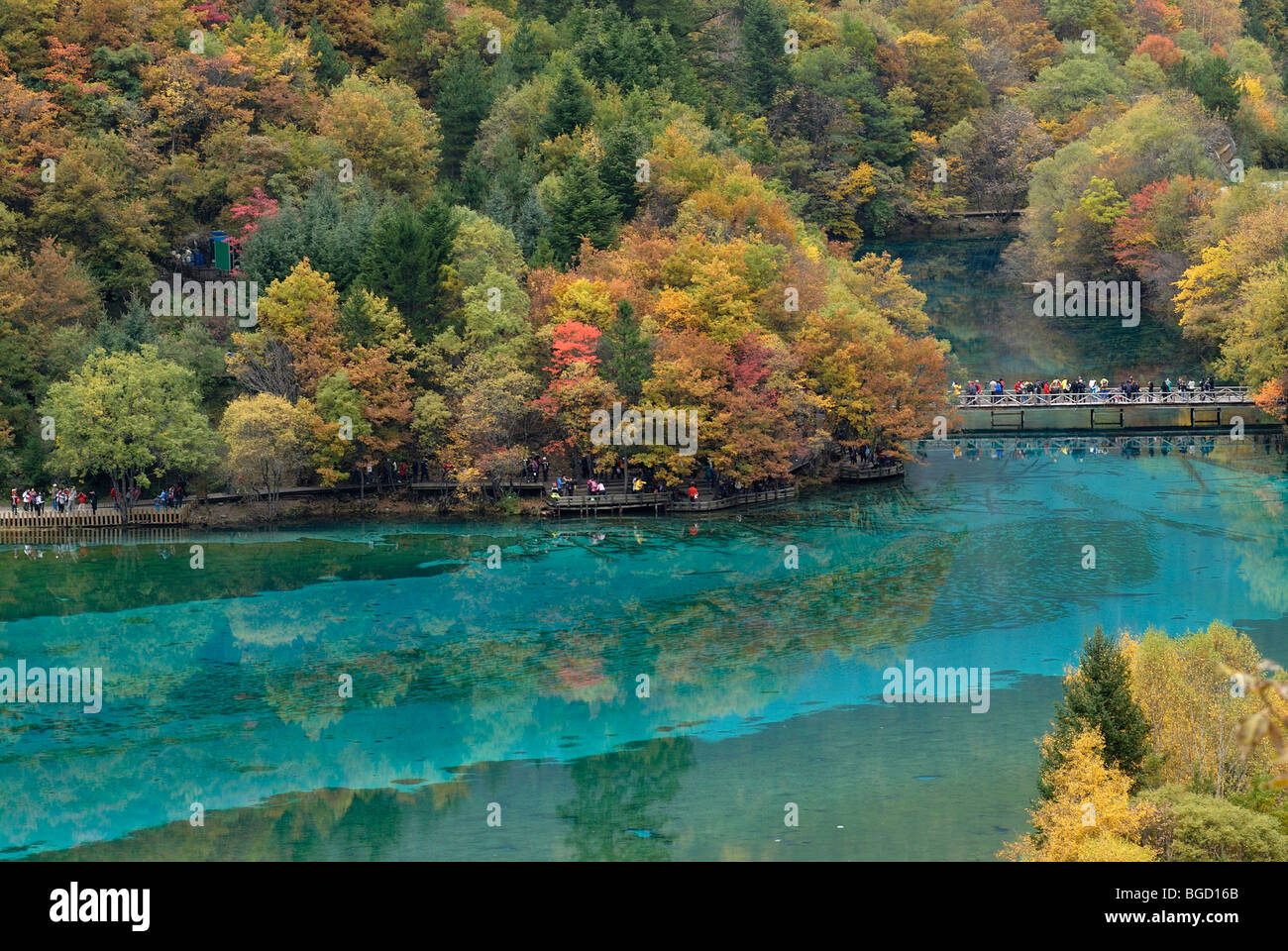 Autumn mood and reflections of trees at the turquoise Five Colour Lake ...