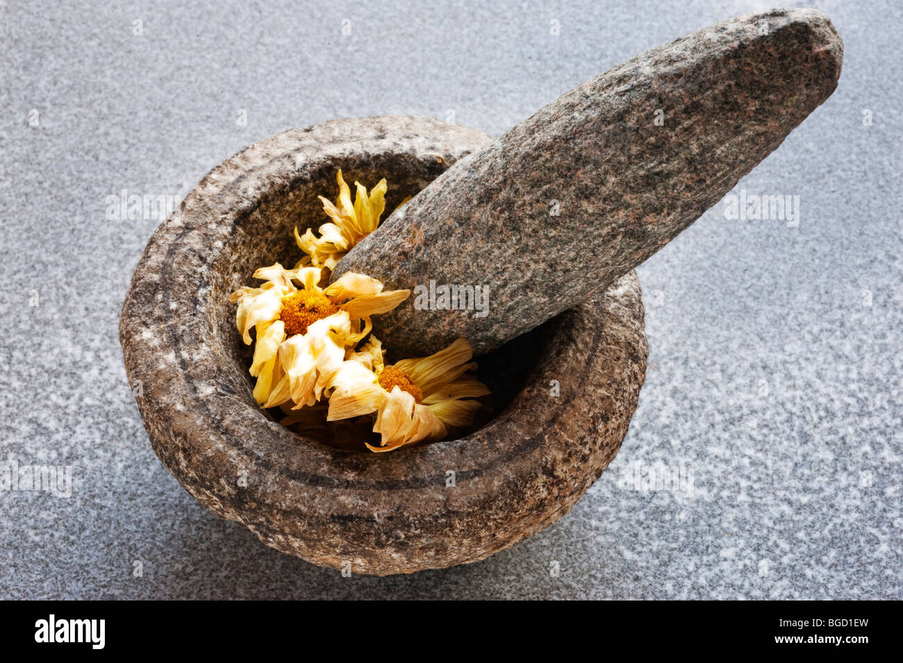 Crushed flowers hi-res stock photography and images - Alamy