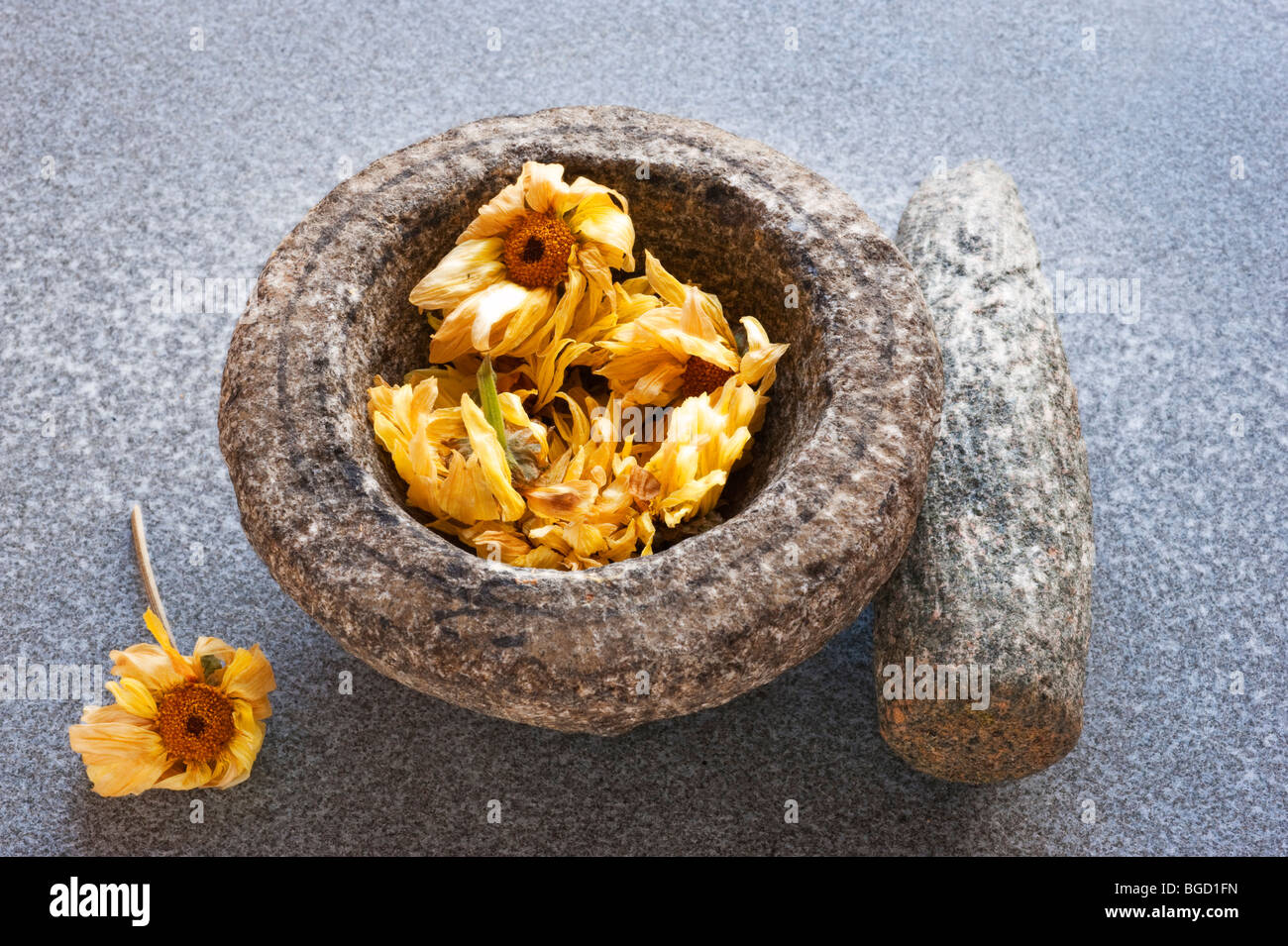 Crushed Flowers Stock Photos & Crushed Flowers Stock Images - Alamy
