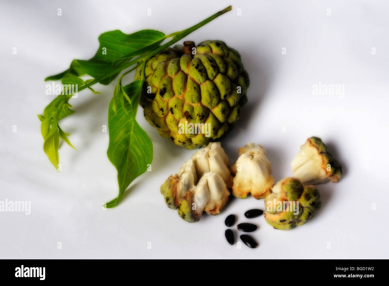 Pulp and rind hi-res stock photography and images - Alamy