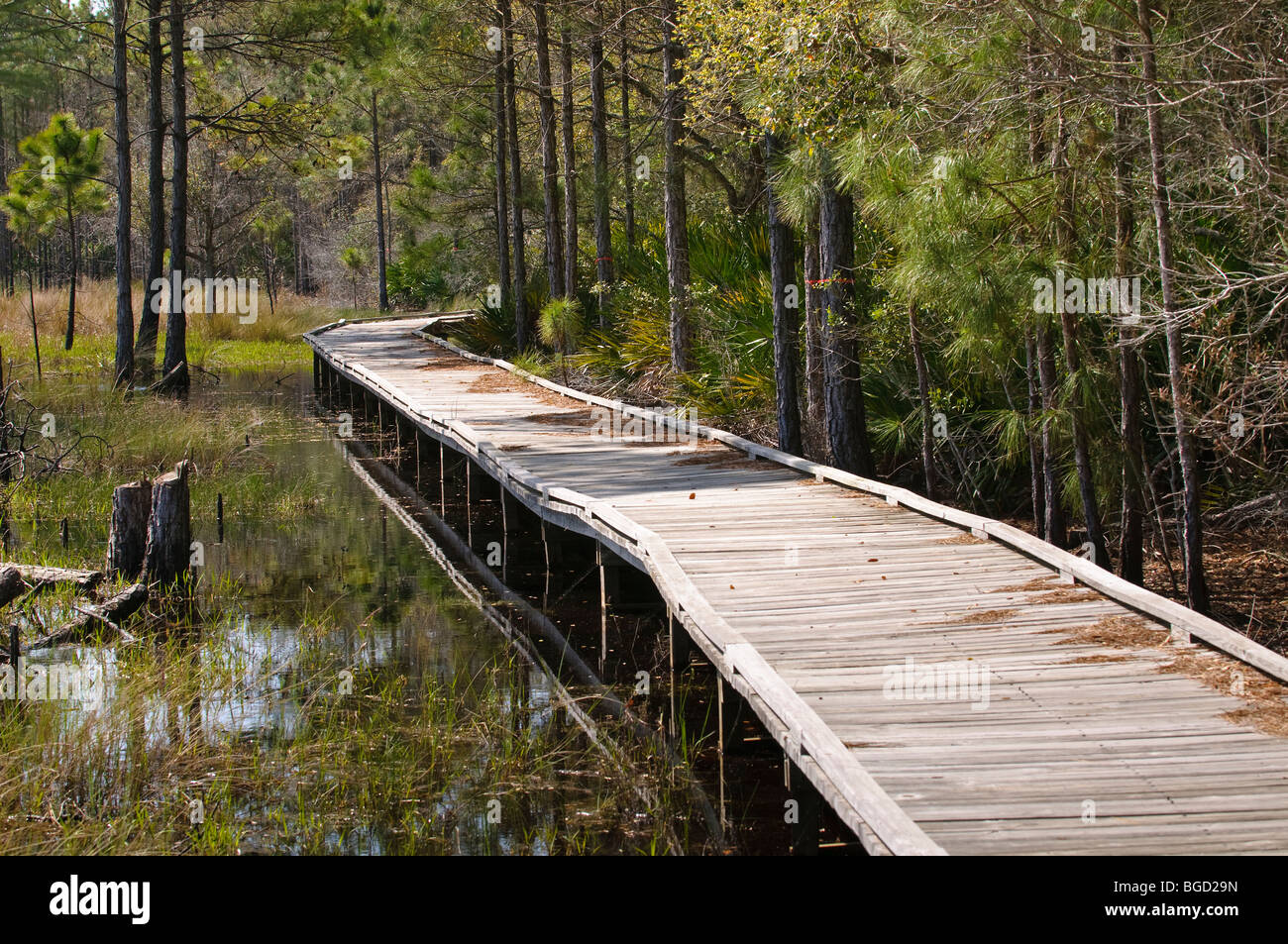 Guana Tolomato Matanzas National Estuarine Research Reserve St. Johns ...