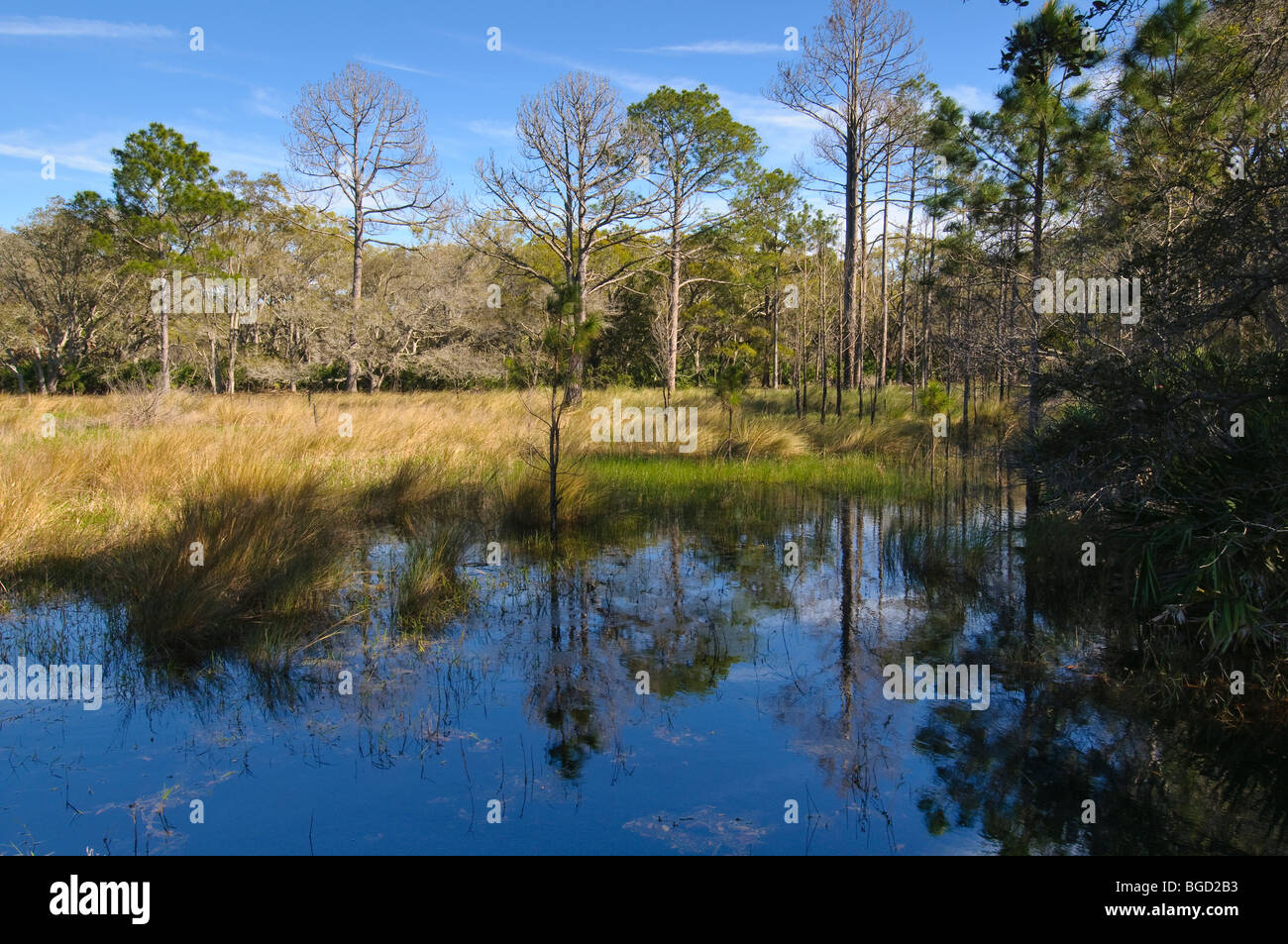 Guana Tolomato Matanzas National Estuarine Research Reserve St. Johns ...