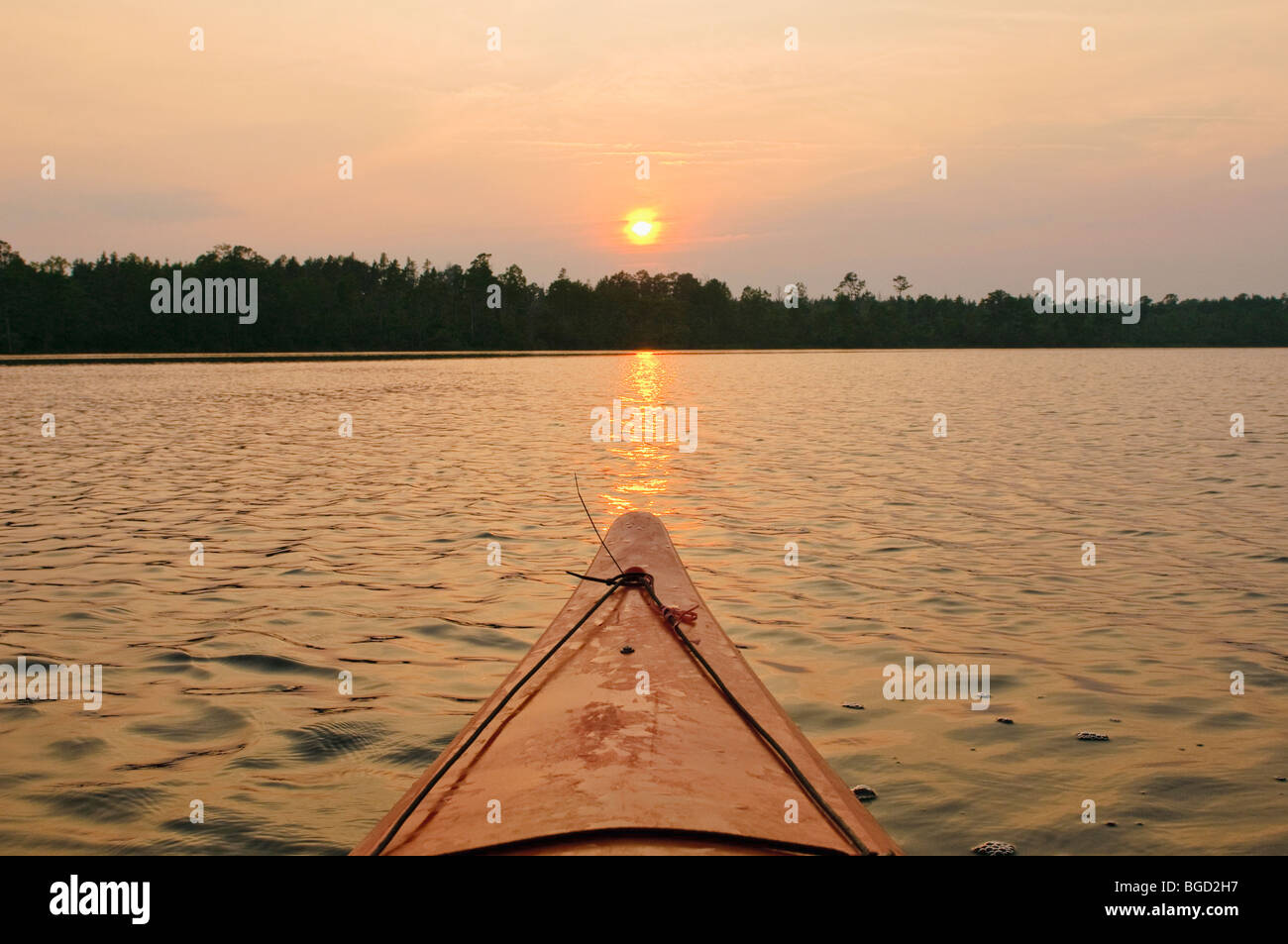Kayaks on the Alligator River in eastern North Carolina, USA, part of ...