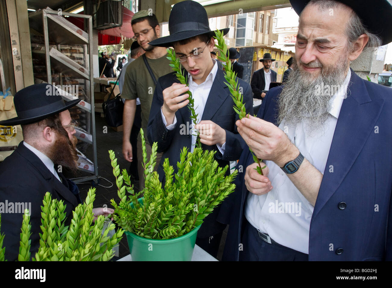 Succott hi-res stock photography and images - Alamy