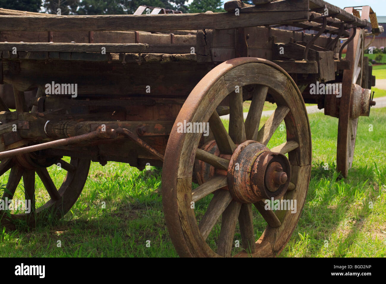 Old ox-drawn wooden wagon from early 1900s. Kwazulu Natal, South Africa ...