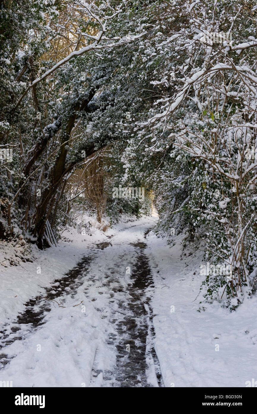 Woodland snap hi-res stock photography and images - Alamy