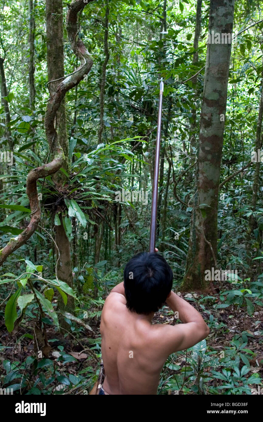 Indigenous man using machete hi-res stock photography and images - Alamy
