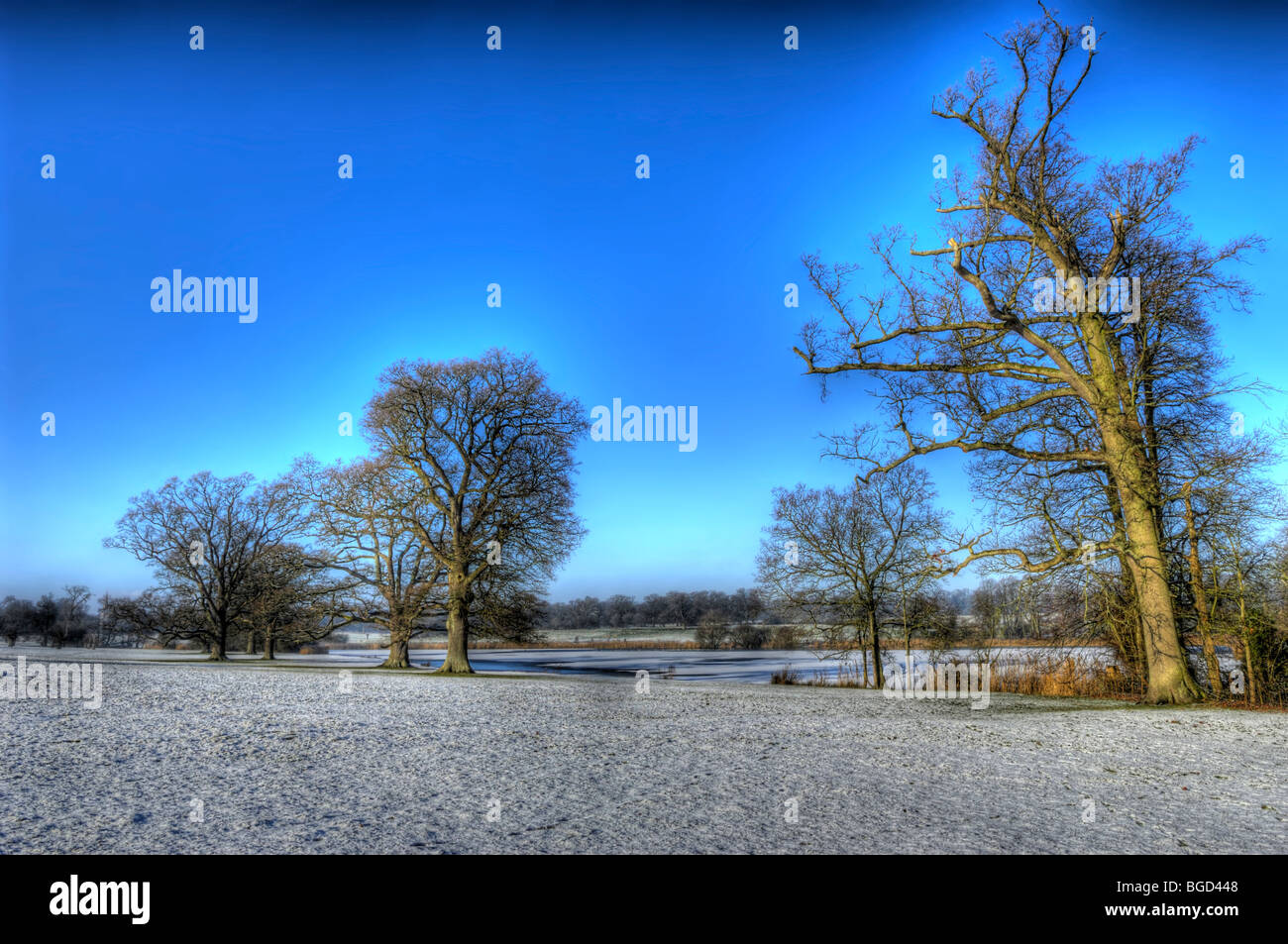 Corsham Park in the Snow HDR Stock Photo - Alamy