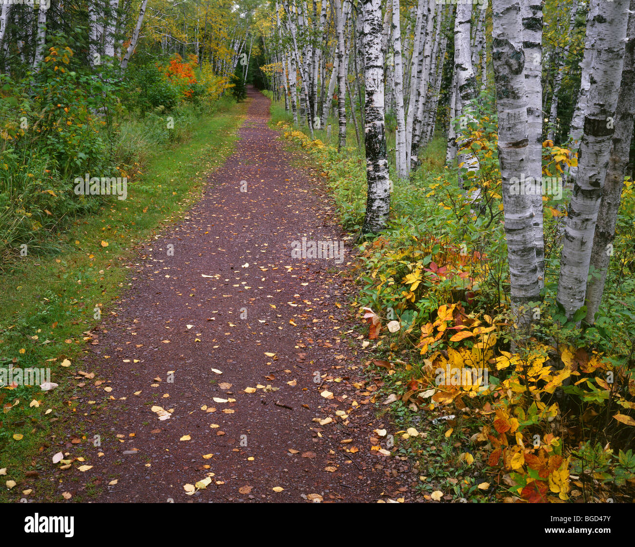 Little two harbors hi-res stock photography and images - Alamy