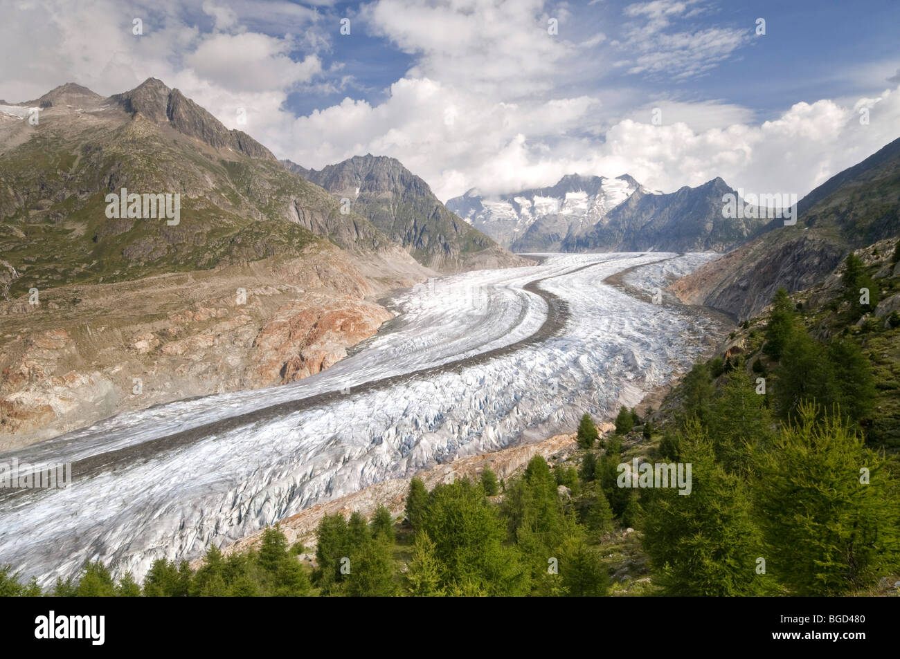 Aletsch Glacier and Aletsch Forest in front of Zenbaechenhorn, Rothorn ...