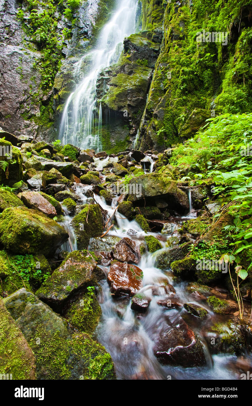 Burgbachwasserfall waterfall, Bad Rippoldsau-Kloesterle, Black Forest ...
