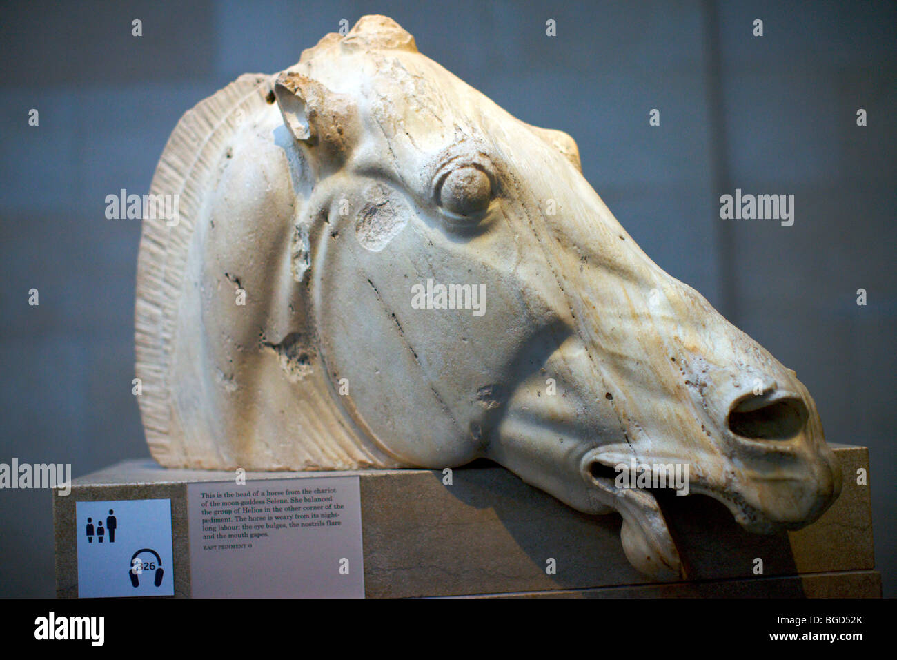 Pediment sculpture from The Parthenon known as The Elgin Marbles on display at the British ...