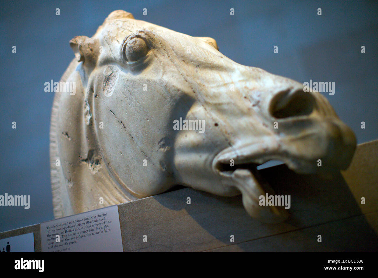 Pediment sculpture from The Parthenon known as The Elgin Marbles on display at the British ...