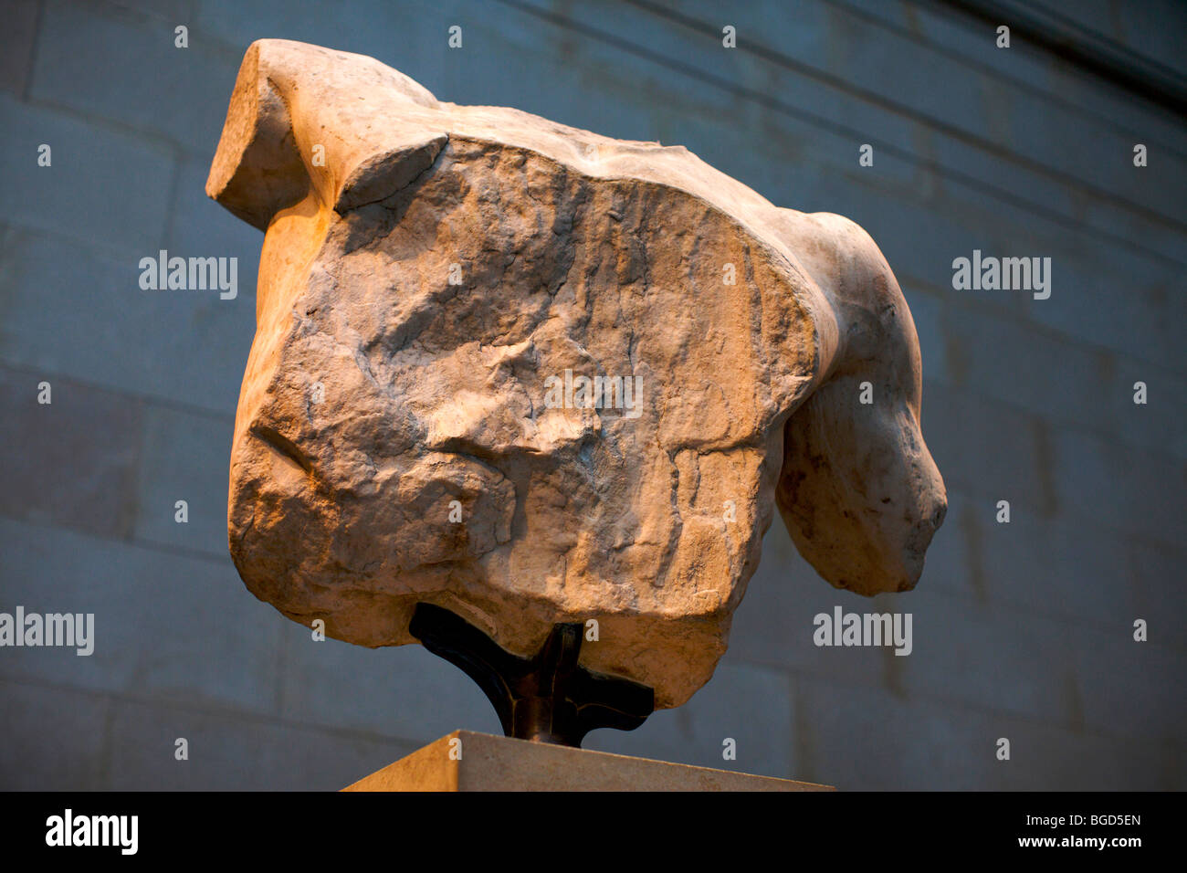 Pediment sculpture from The Parthenon known as The Elgin Marbles on display at the British ...