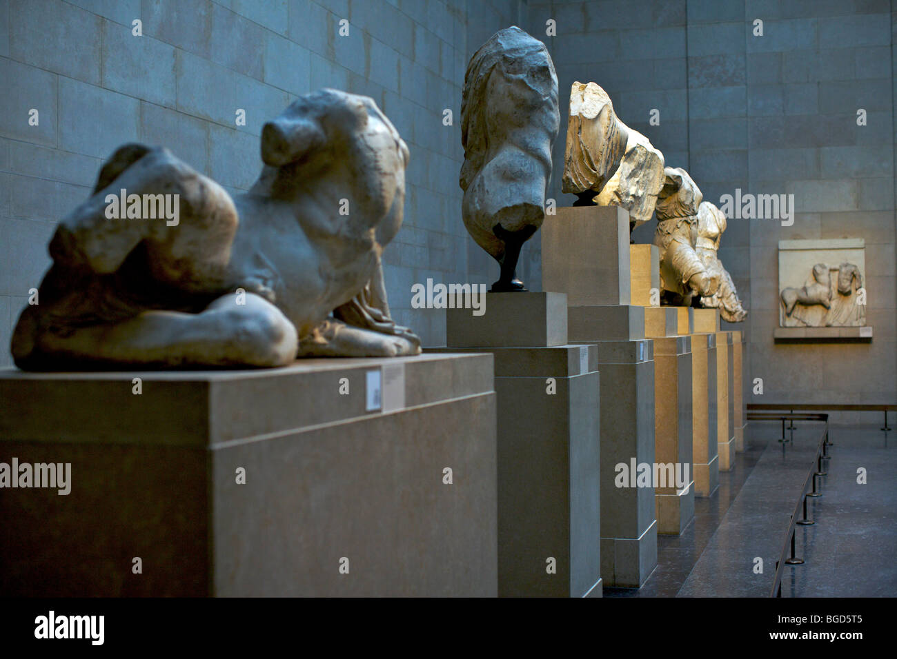 Pediment sculpture from The Parthenon known as The Elgin Marbles on display at the British ...