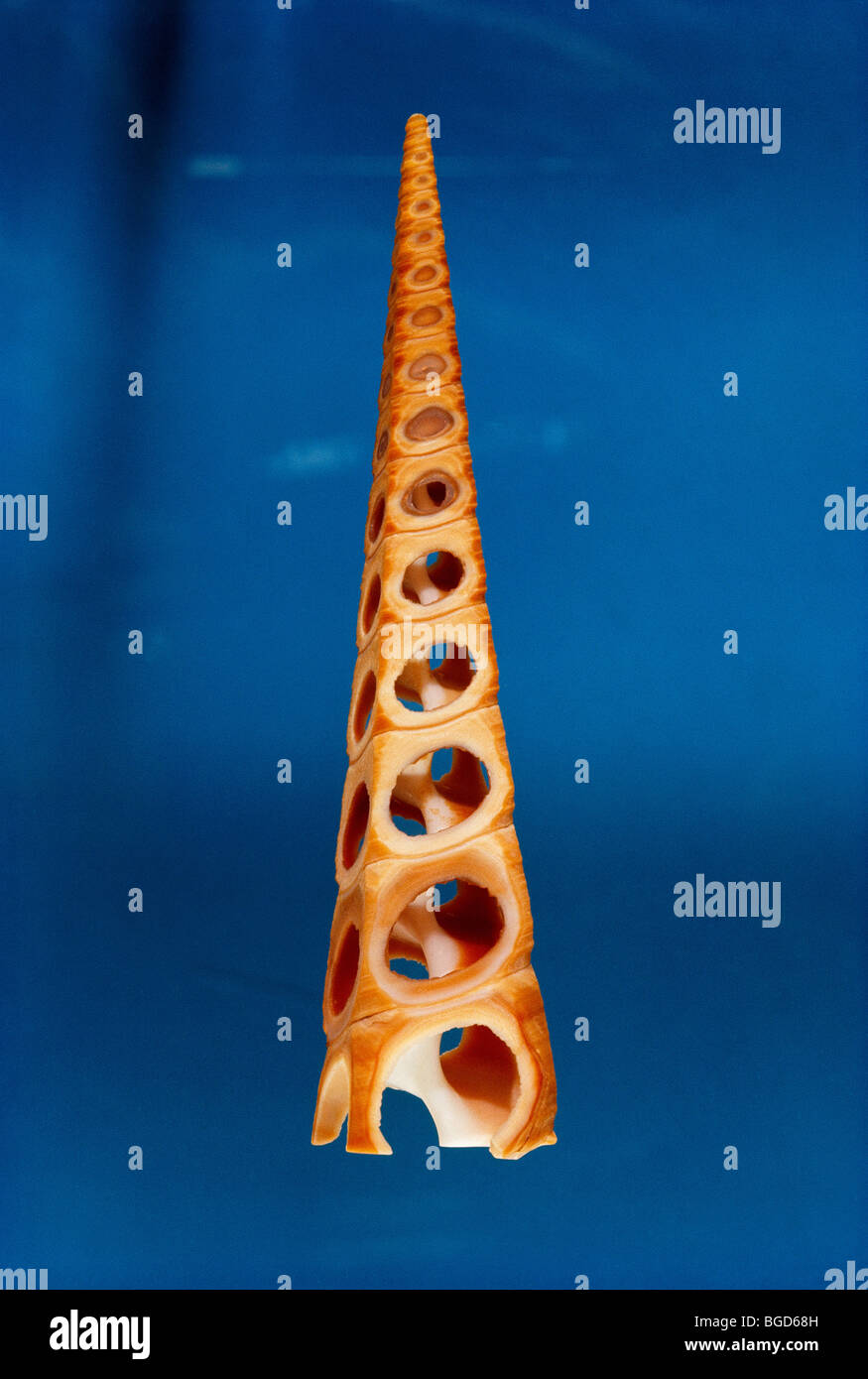 Boring turret hi-res stock photography and images - Alamy