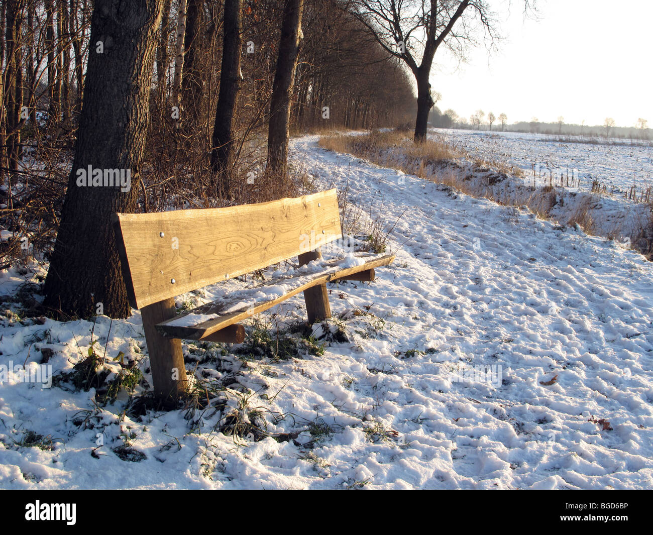 Sunlit snowy bench Stock Photo - Alamy