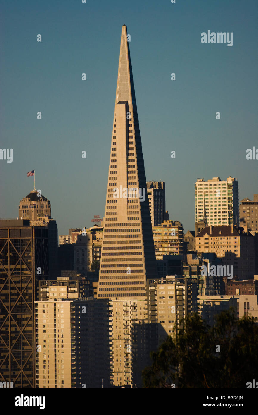 The Transamerica pyramid and top of the Fairmont hotel, San Francisco ...