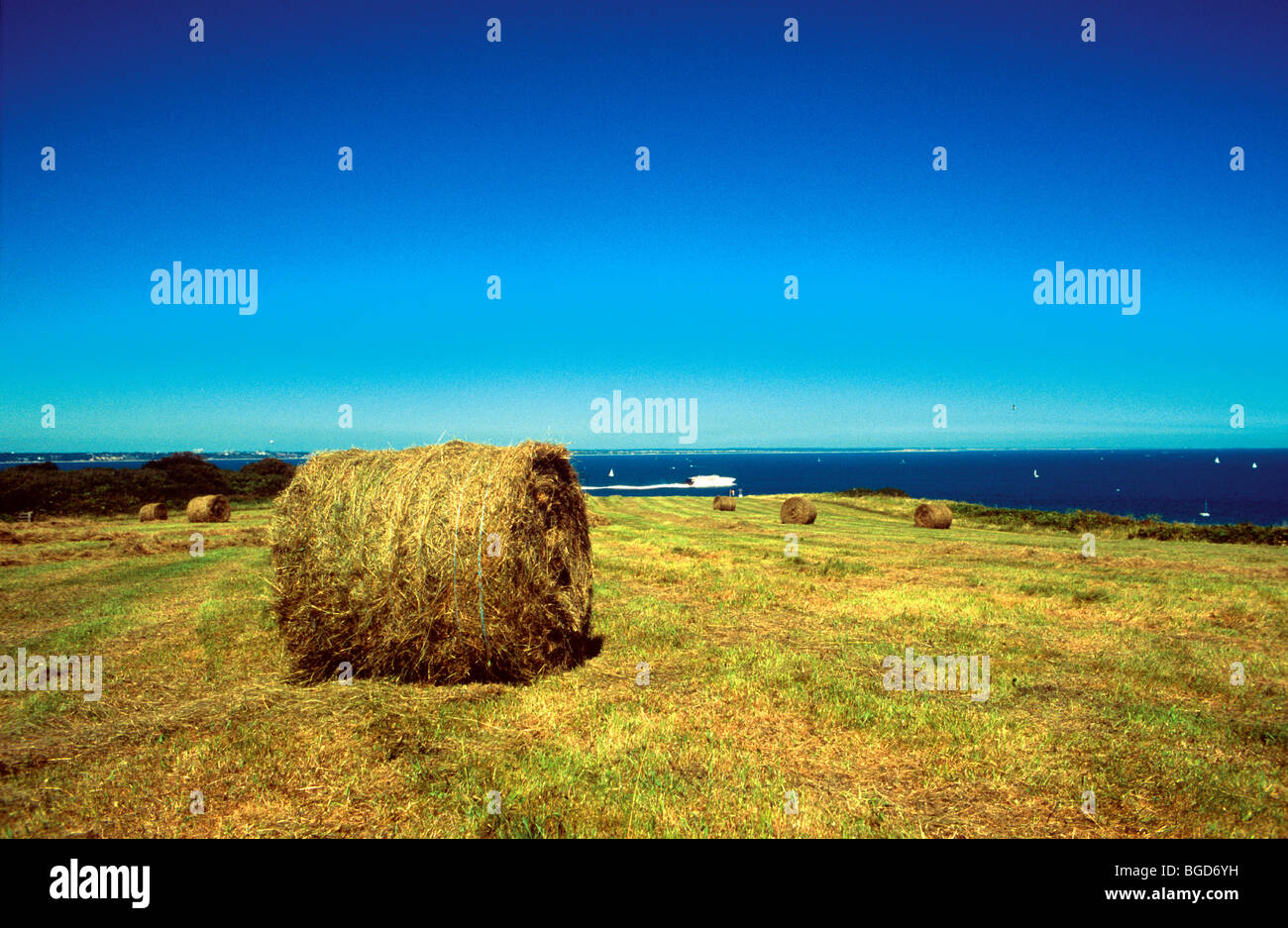 Hay bale in field on cliffs above Poole Bay Stock Photo - Alamy