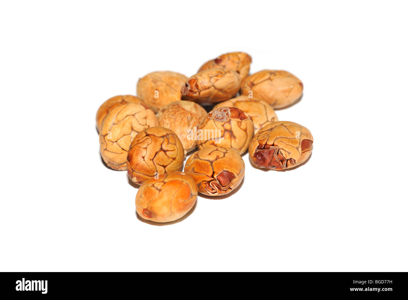 Nature stock image from Cut Out Stock Images & Pictures - Alamy