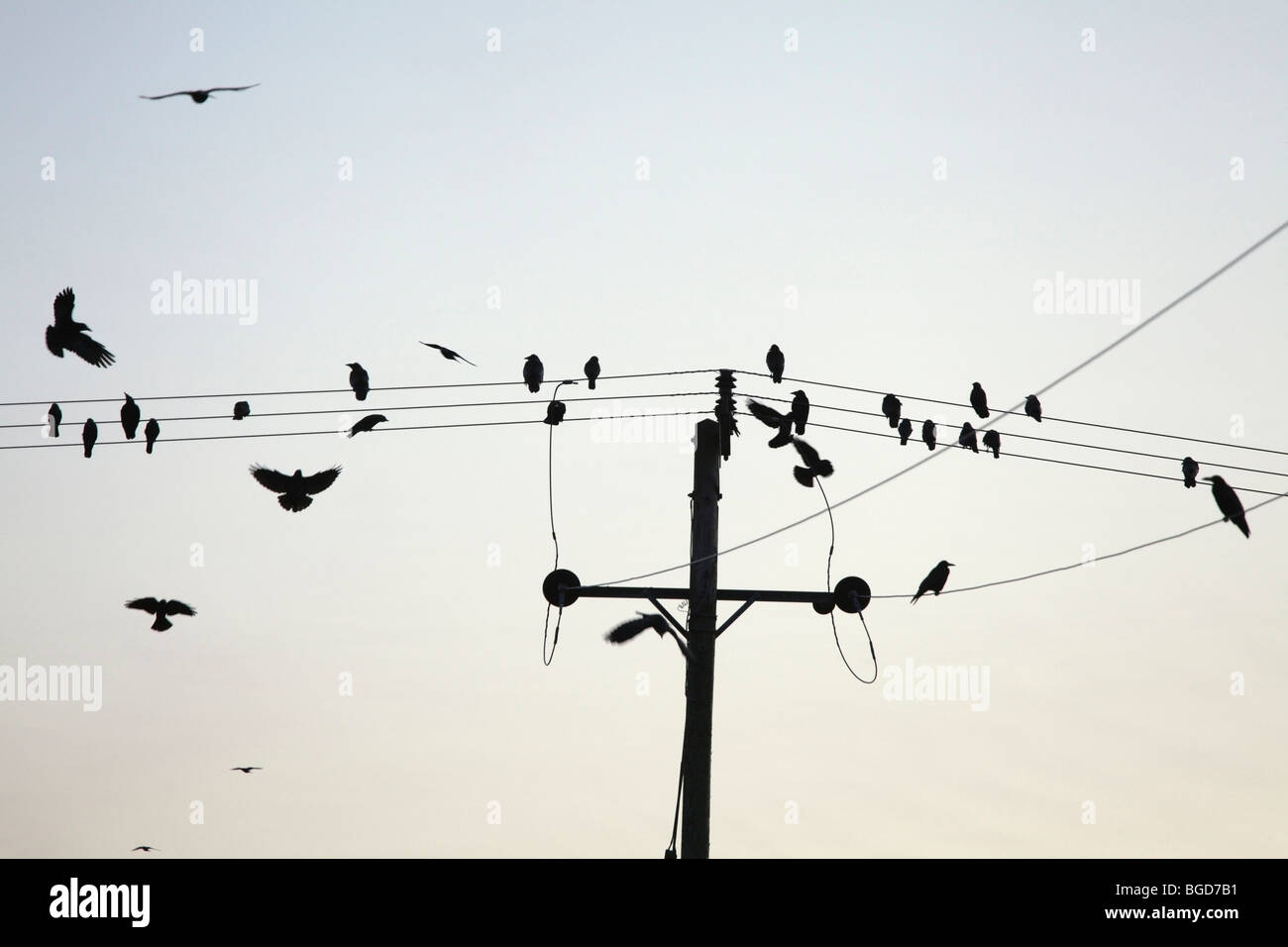 Pylons uk hi-res stock photography and images - Alamy