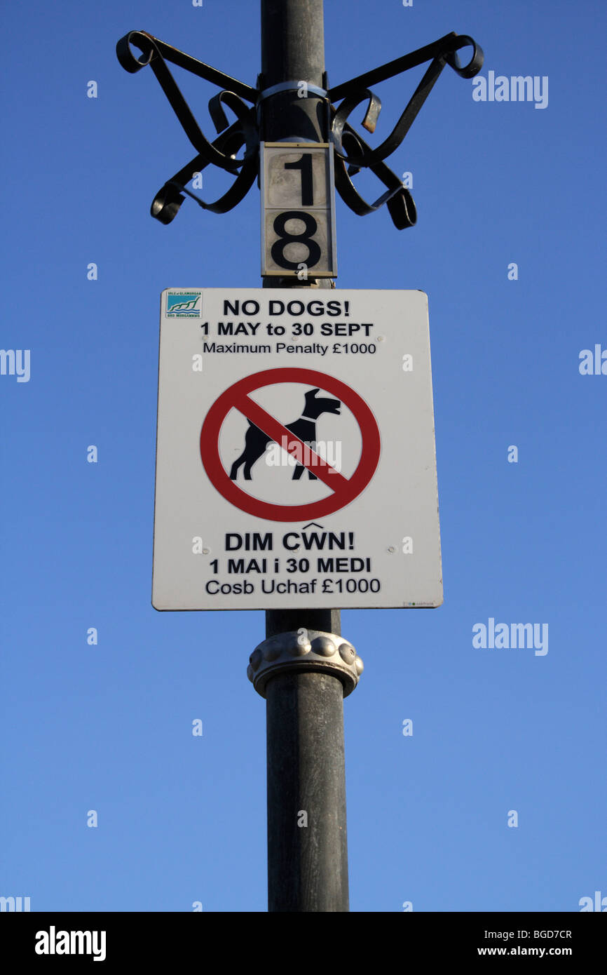Bilingual English / Welsh Cymraeg Sign "No Dogs allowed Stock Photo - Alamy