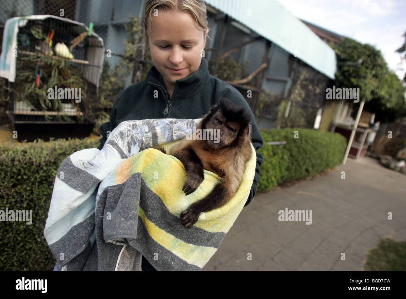 Ricky nelson hi-res stock photography and images - Alamy