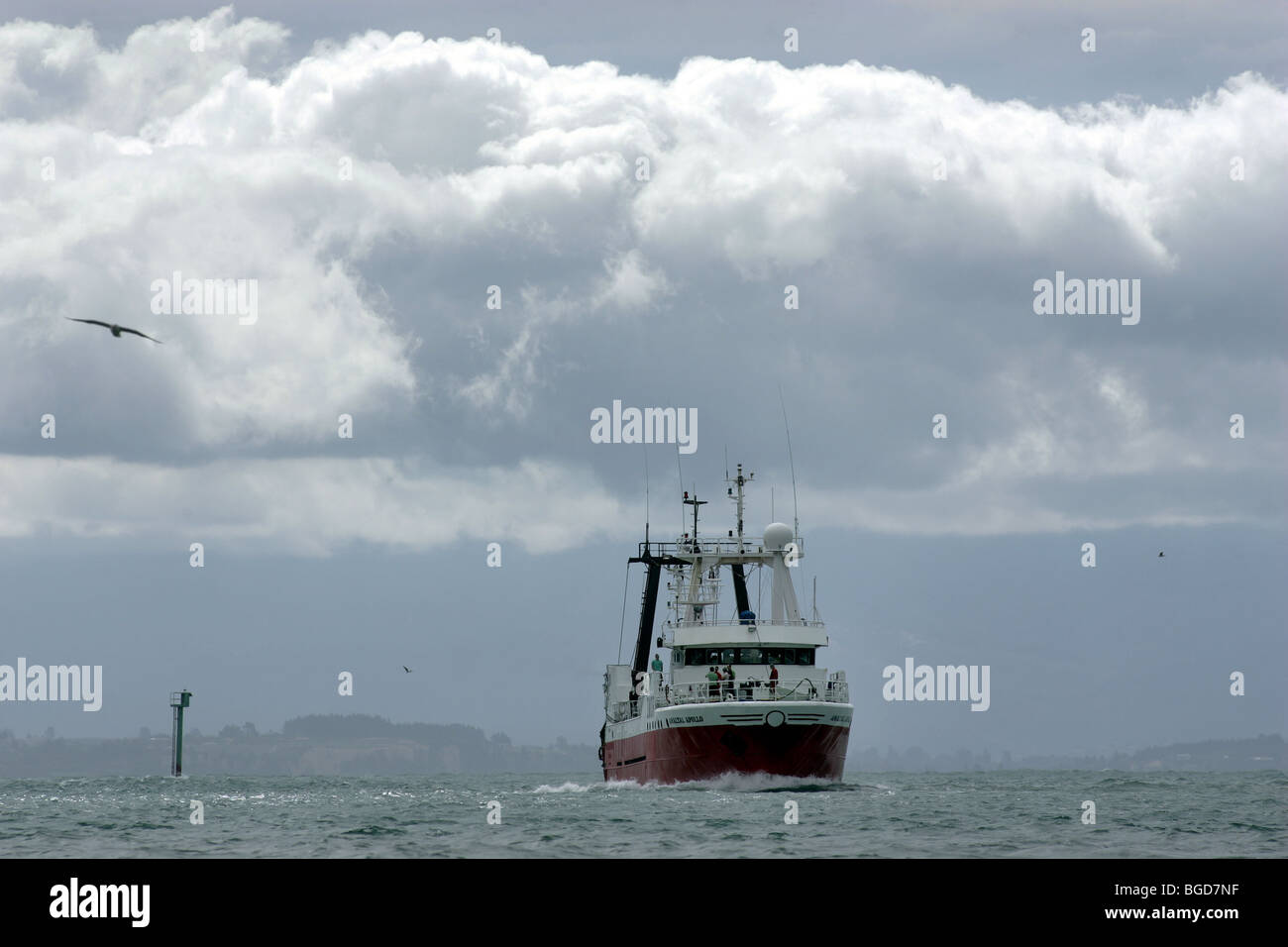 The trawler Amaltal Apollo returning to Nelson, New Zealand Stock Photo ...