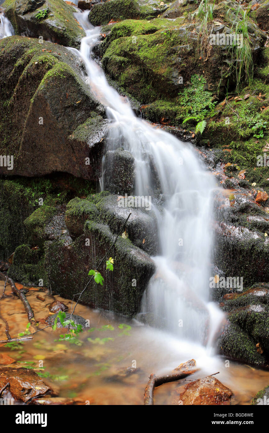 Waterfall Koleshino in Macedonia Stock Photo - Alamy