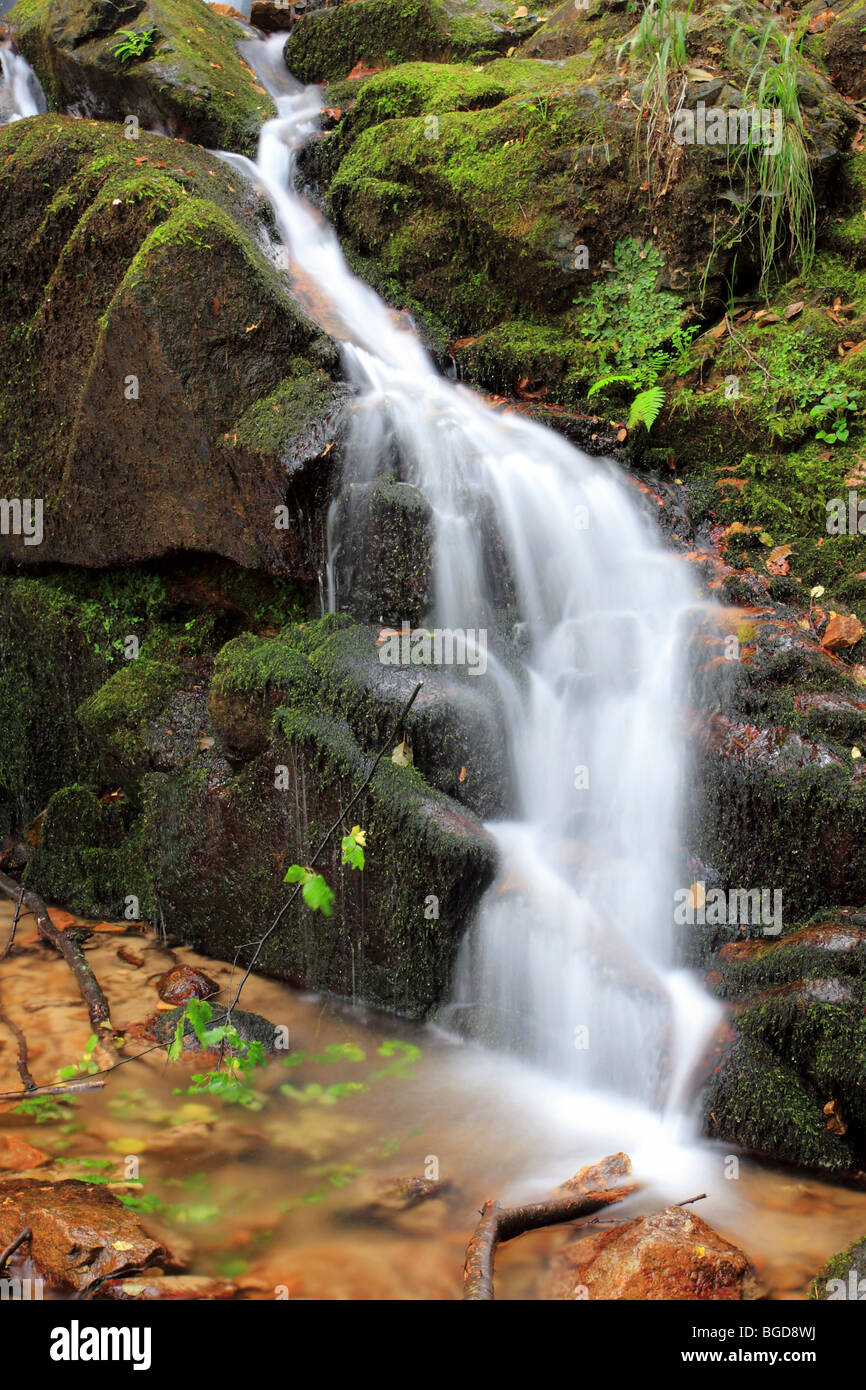 Kolesino hi-res stock photography and images - Alamy