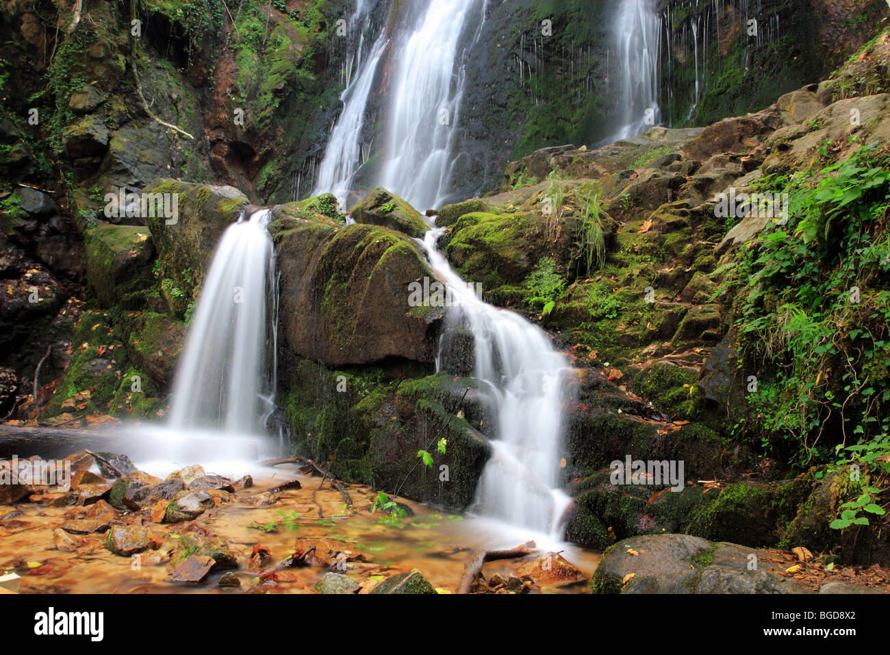 Waterfall Koleshino in Macedonia Stock Photo - Alamy