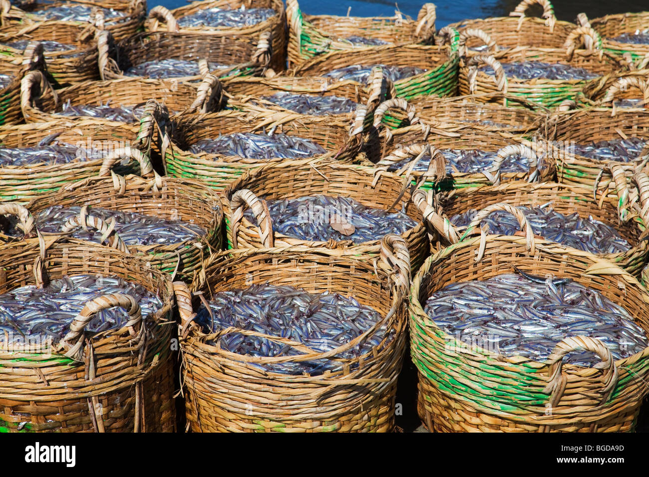 Vietnam fishing baskets hi-res stock photography and images - Alamy