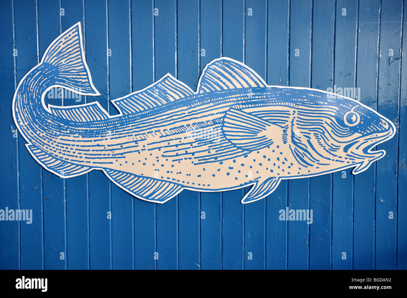 Photograph of a painting of a Cod fish Stock Photo - Alamy