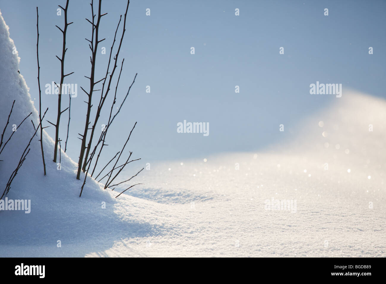 Fresh winter snow background Stock Photo - Alamy