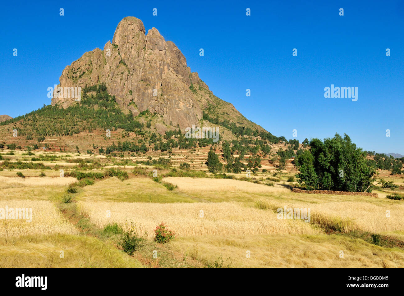 Adwa hi-res stock photography and images - Alamy