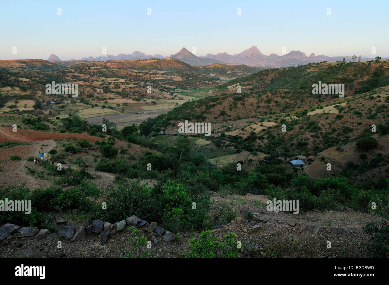 Adwa hi-res stock photography and images - Alamy