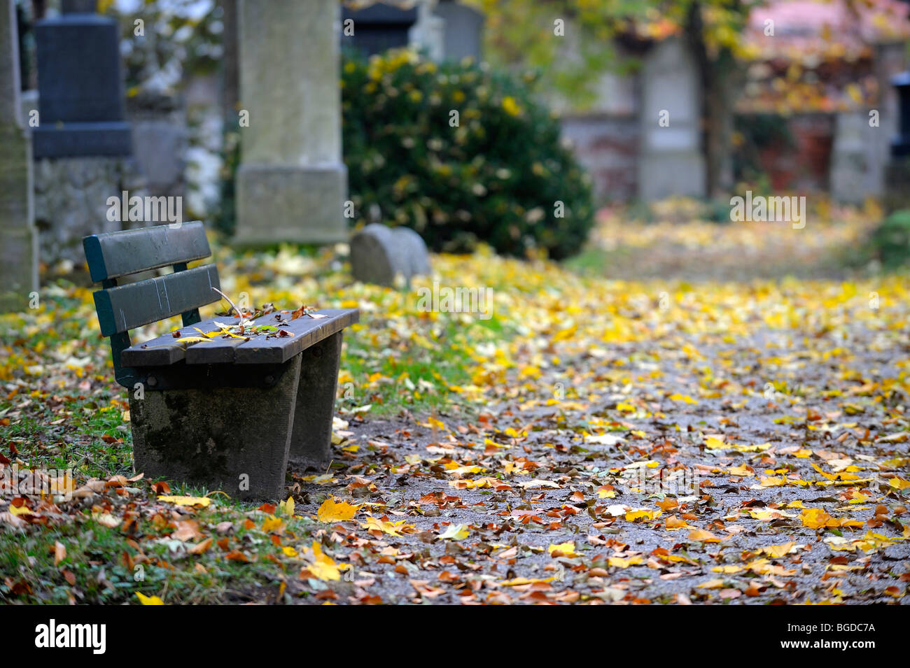 Germany park bench hi-res stock photography and images - Alamy