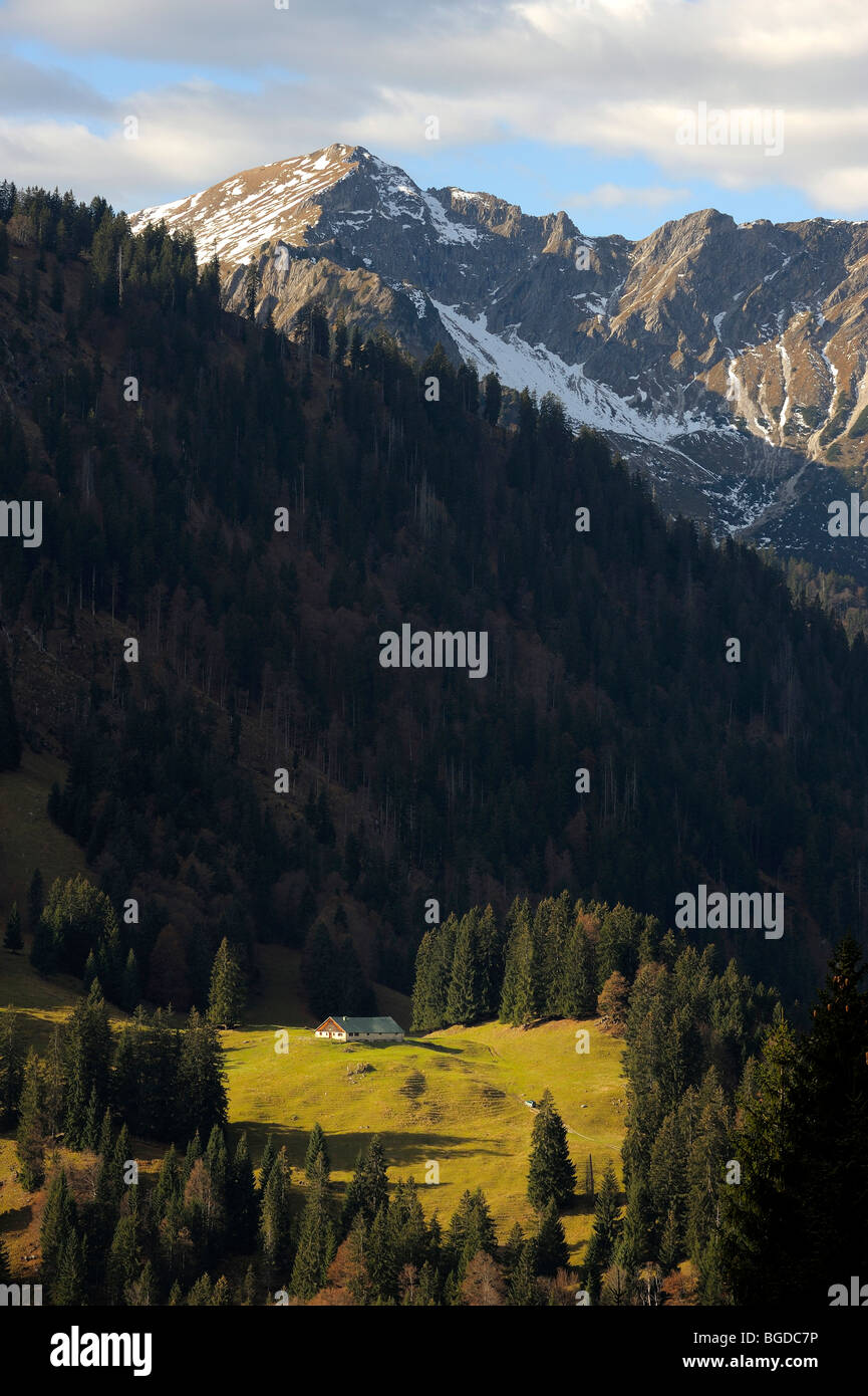 Mountain pasture, alpine hut on meadow with snow-covered mountain peaks ...