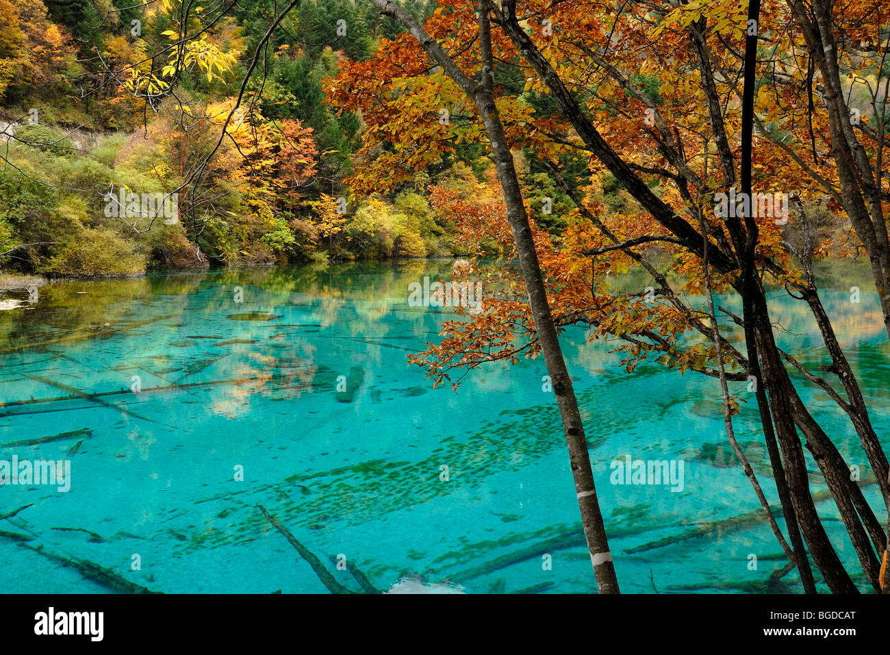 Five color pond hi-res stock photography and images - Alamy