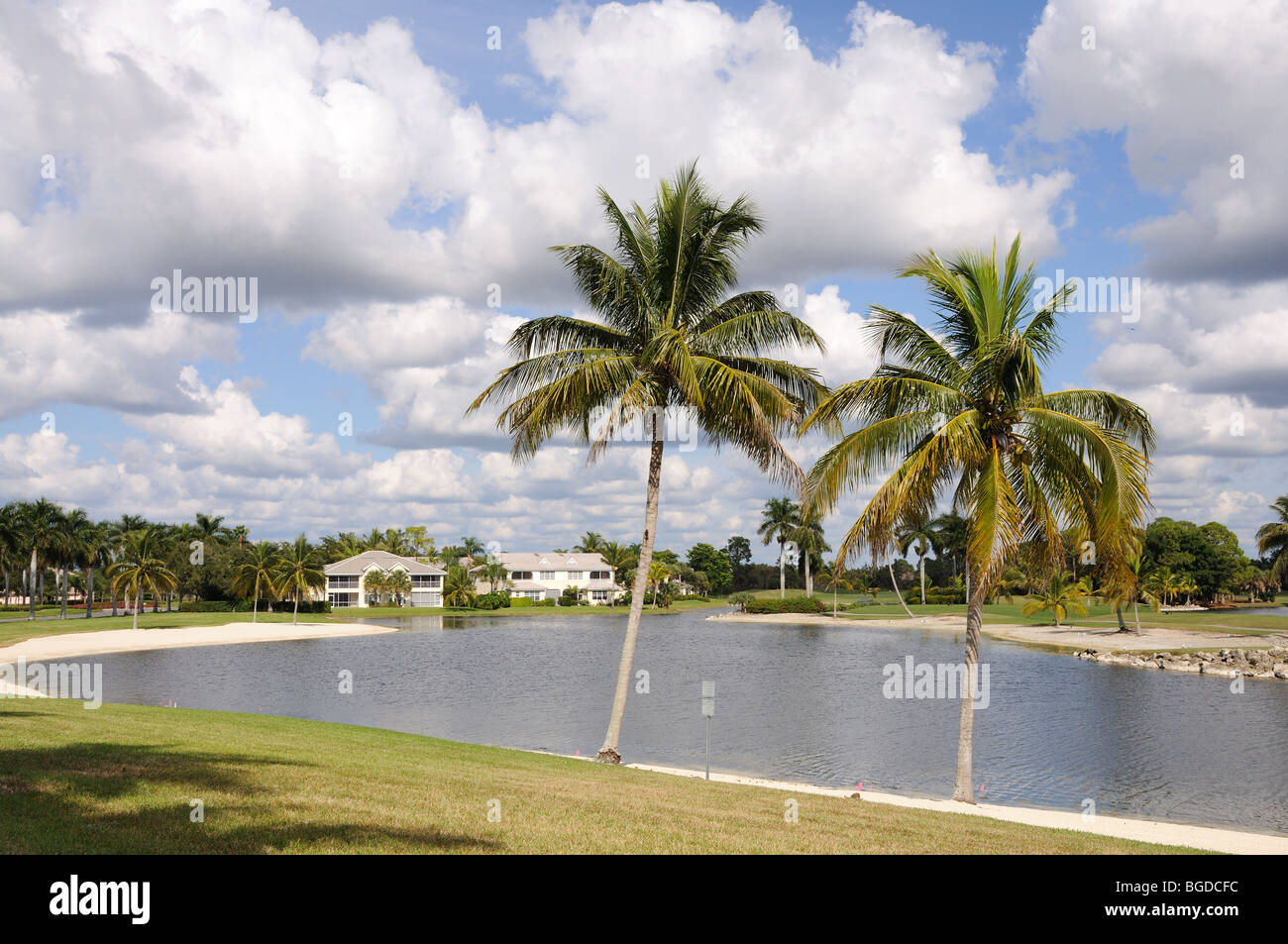 Florida palm trees hi-res stock photography and images - Alamy