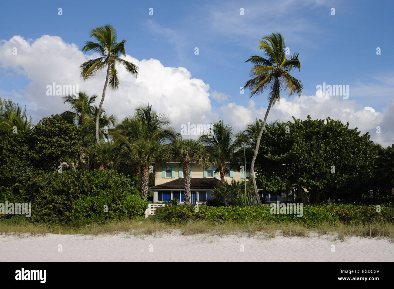 Tropical beach house coconut trees hi-res stock photography and images ...