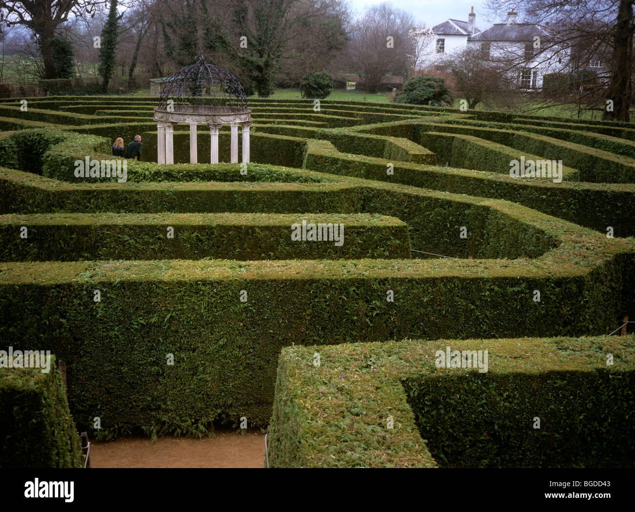Symonds yat maze hi-res stock photography and images - Alamy
