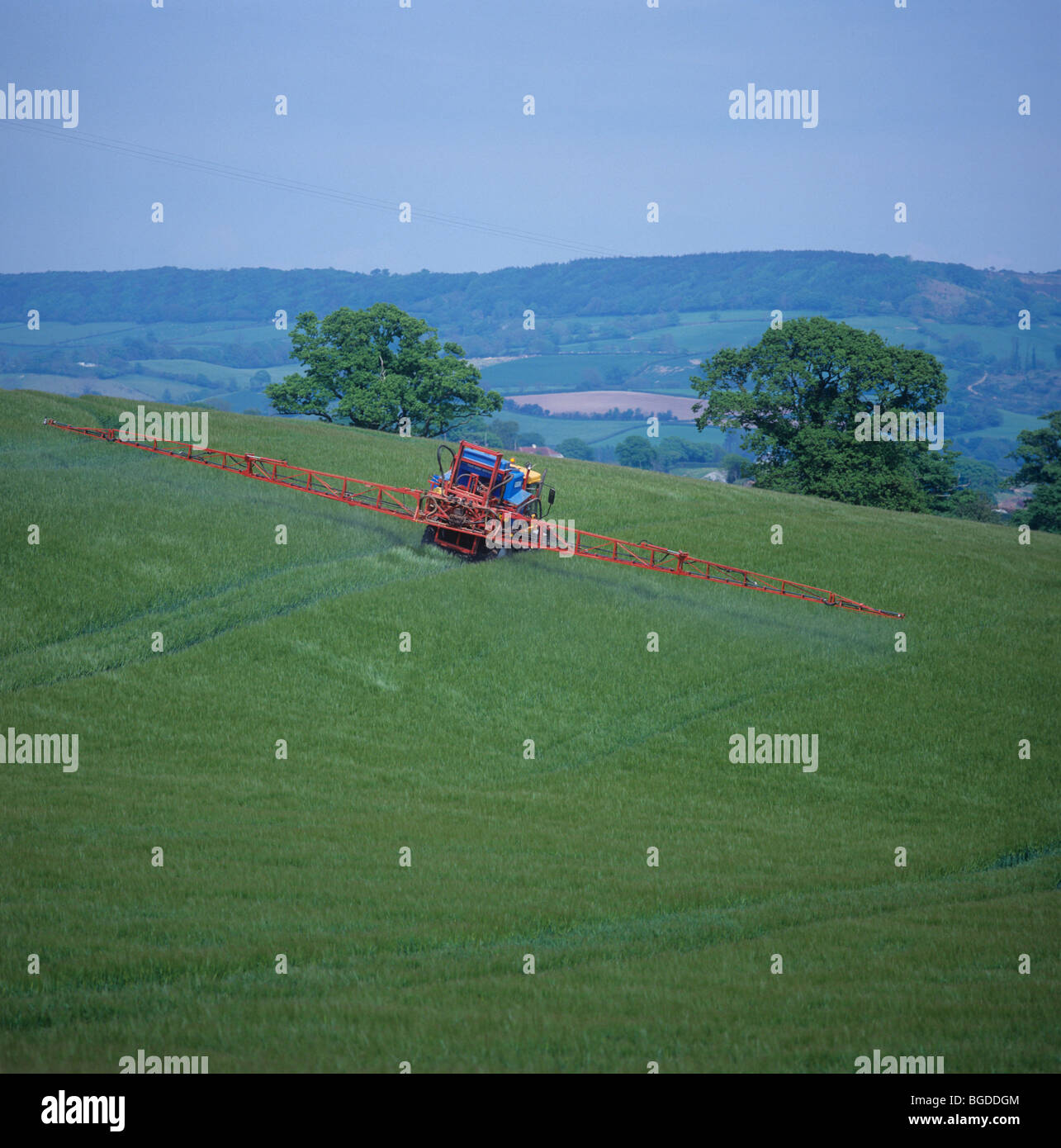 Fastrac tractor and mounted sprayer spraying sloping barley field in ...