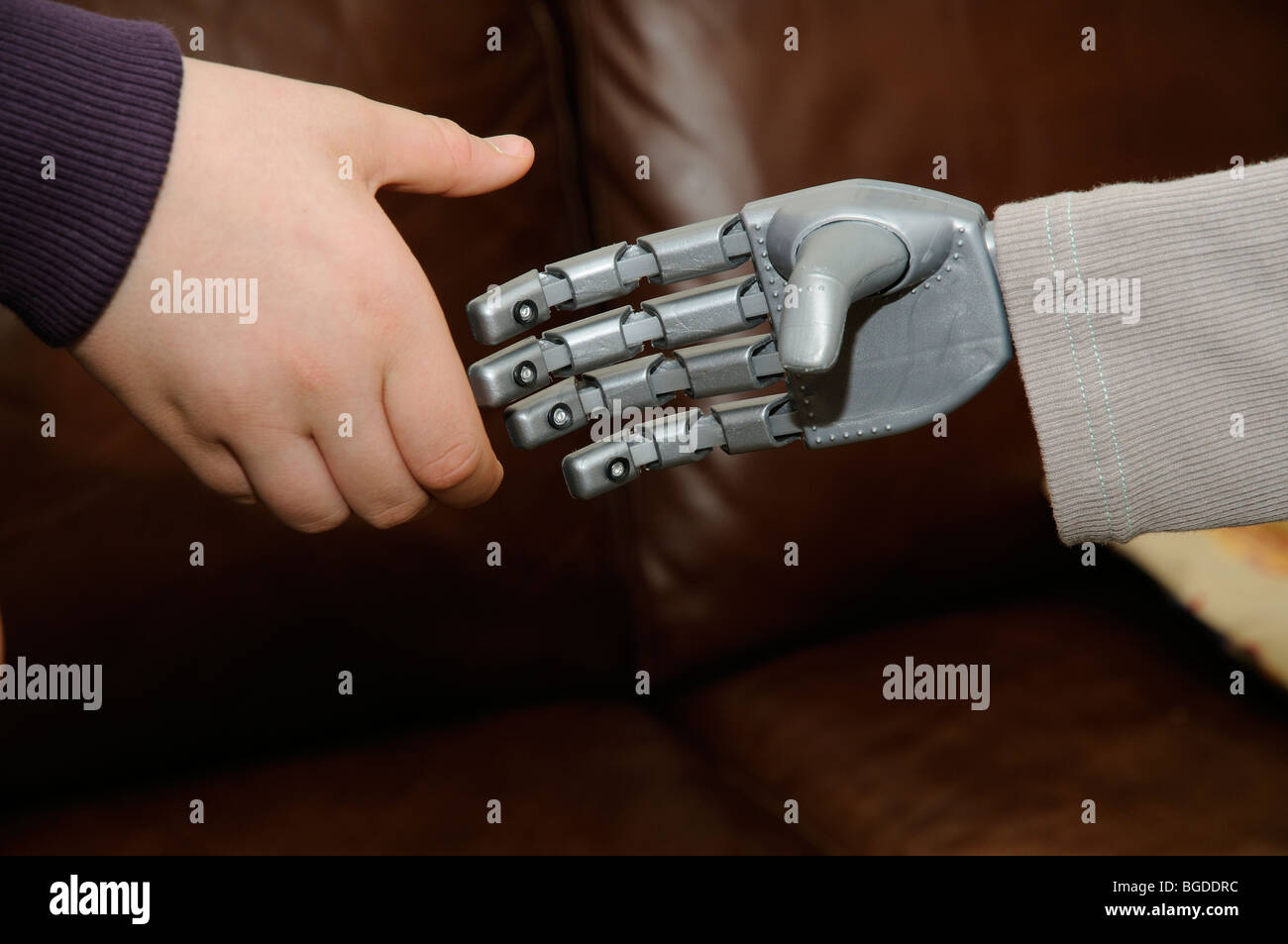 Human hand greeting and shaking hands with a bionic hand Stock Photo ...