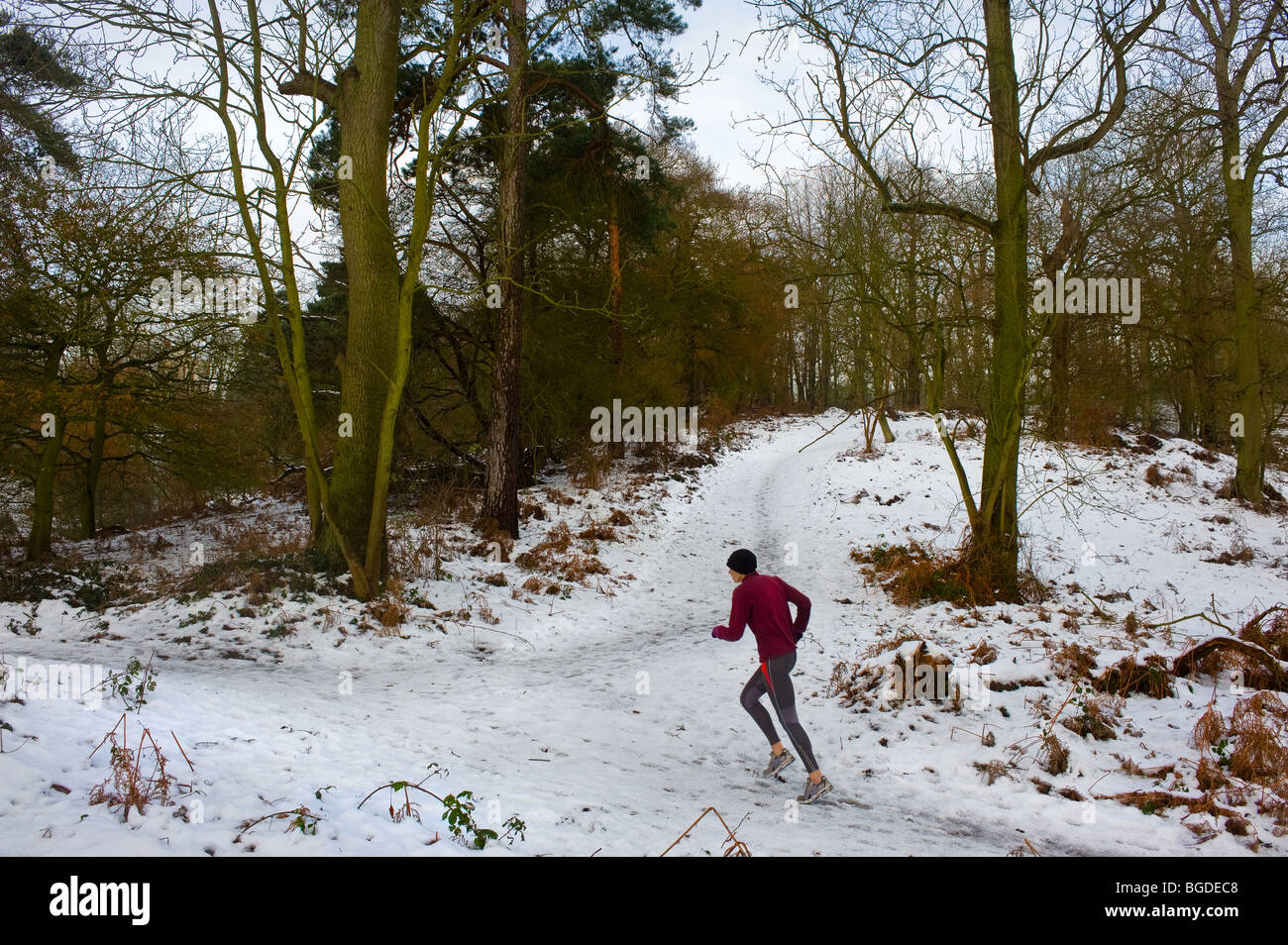 A person running through snow in Coombe Wood in Essex Stock Photo - Alamy