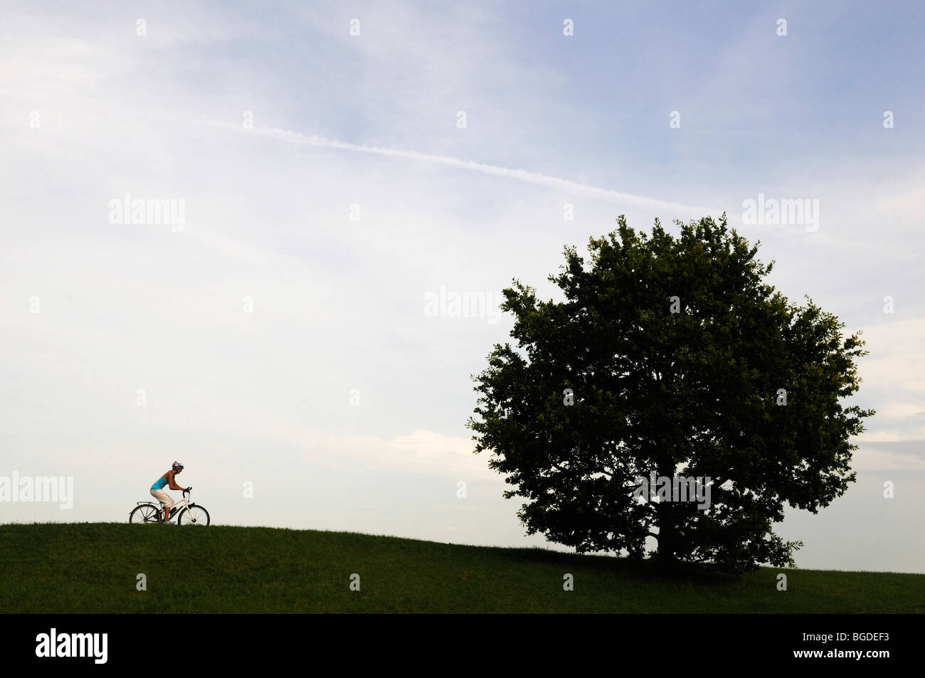 Young woman riding a bicycle, Bavaria, Germany, Europe Stock Photo - Alamy