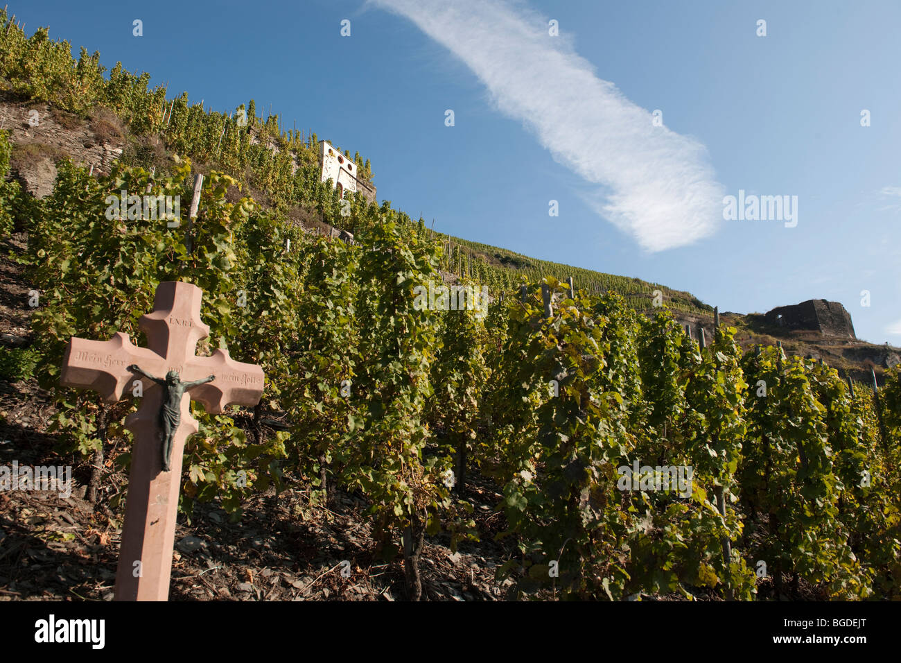 Riesling wine regions hi-res stock photography and images - Alamy