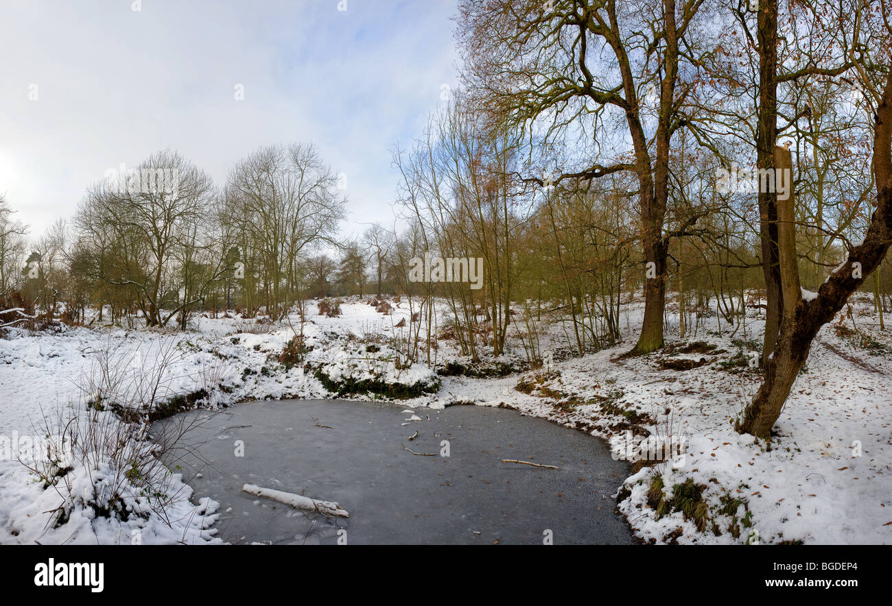 Coombe wood hi-res stock photography and images - Alamy