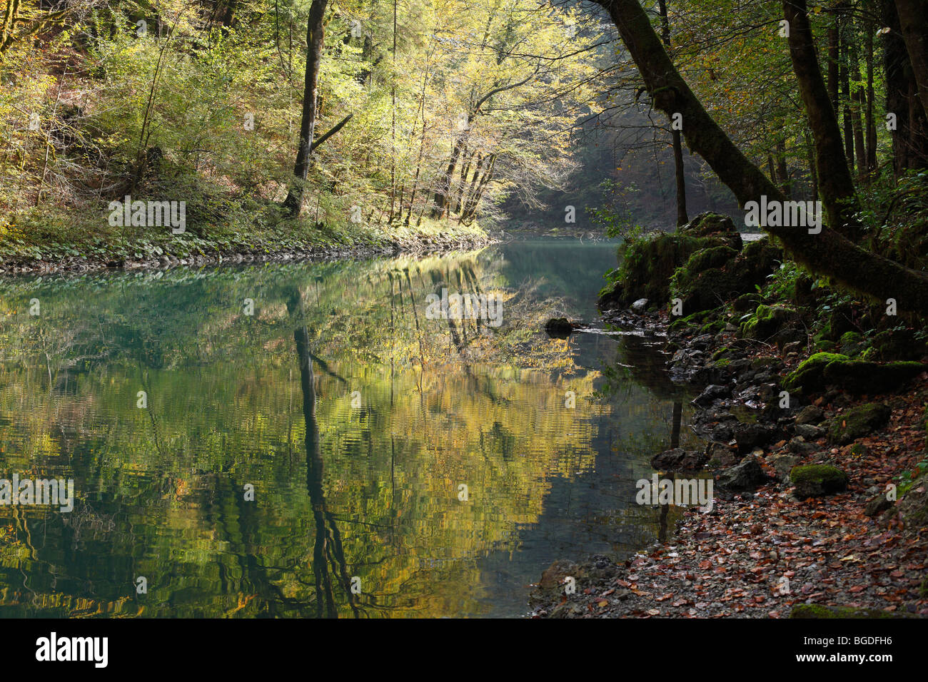 Fluss quelle hi-res stock photography and images - Alamy