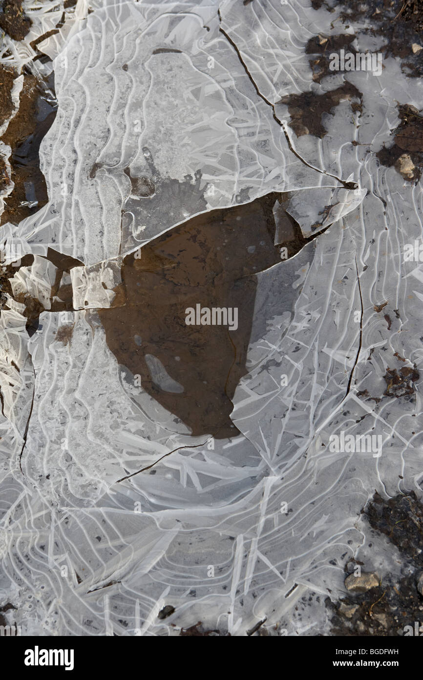 Thin ice hi-res stock photography and images - Alamy